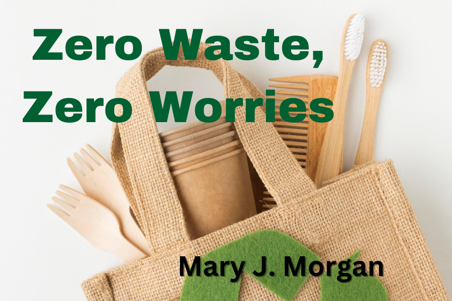 Zero Waste, Zero Worries: An Easy Solution to Our Climate Crisis ...
